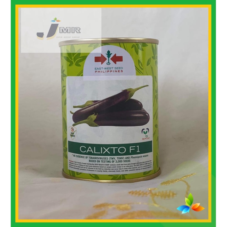 East West Seeds Eggplant Calixto F1 Can (25 grams) | Shopee Philippines