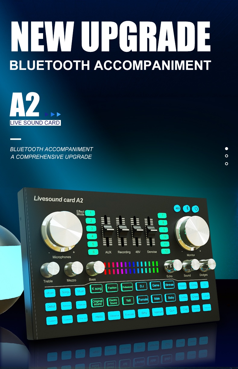 RAYHAYES Bluetooth A2 Live Sound Card Set With Condenser Mic For Live ...