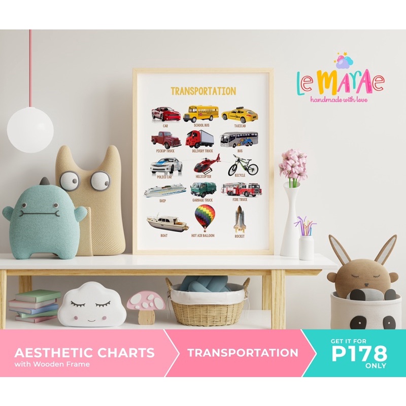 TRANSPORTATION VEHICLES Actual Photos - Laminated Educational Charts ...