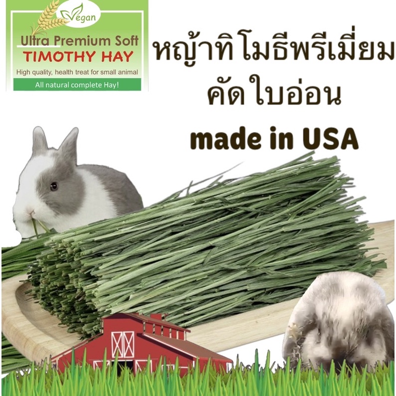 Argan Rabbit Grass ultra premium soft timothy hay Most Gatsby Chilla ...