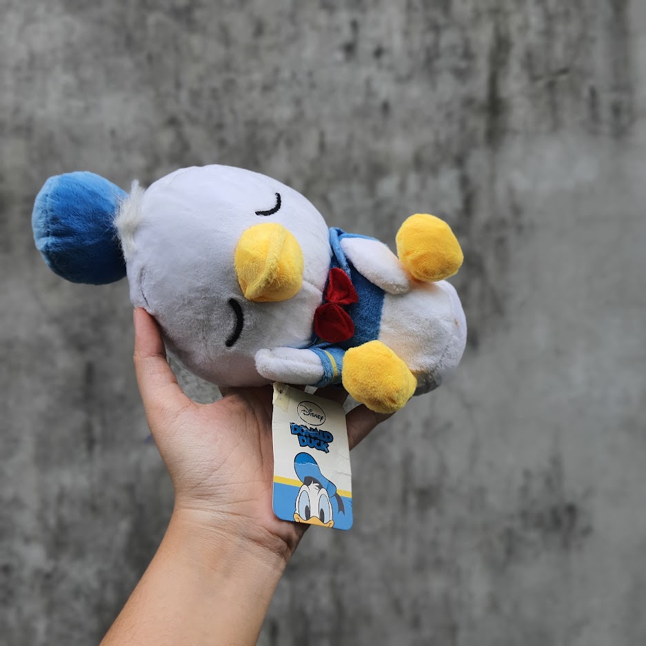 Sleeping Donald Duck Teddy Bear | Shopee Philippines