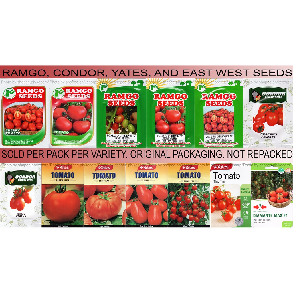 Ramgo Condor Yates East West Tomato Seeds - Sold per Pack per Variety ...