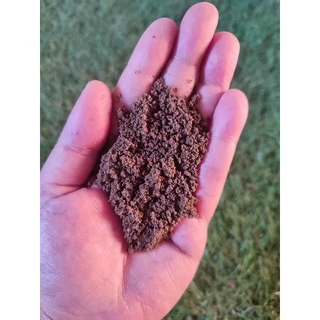 Shop bistay for Sale on Shopee Philippines