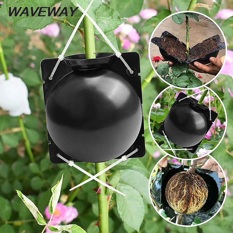 Plant Rooting Equipment High Pressure Propagation Ball Grafting Rooting ...
