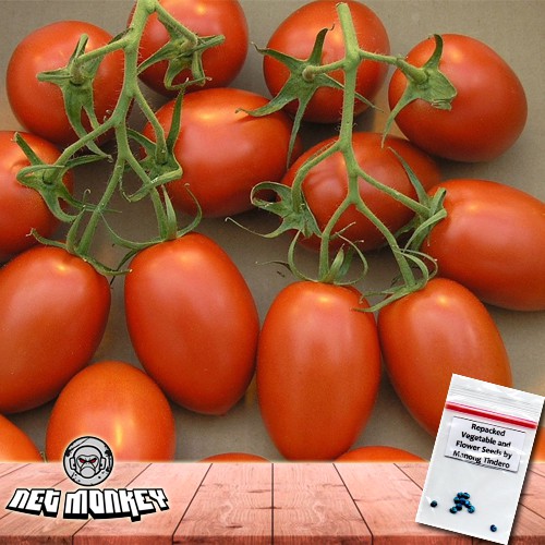 Tomato Roma | Diamante Max F1 ( 8 Seeds ) | Shopee Philippines