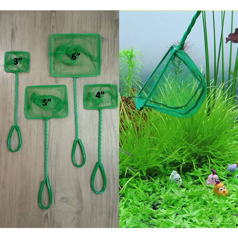 Fish Net Green With Plastic Handle for Fish Tank (3",4", 5" and 6 ...