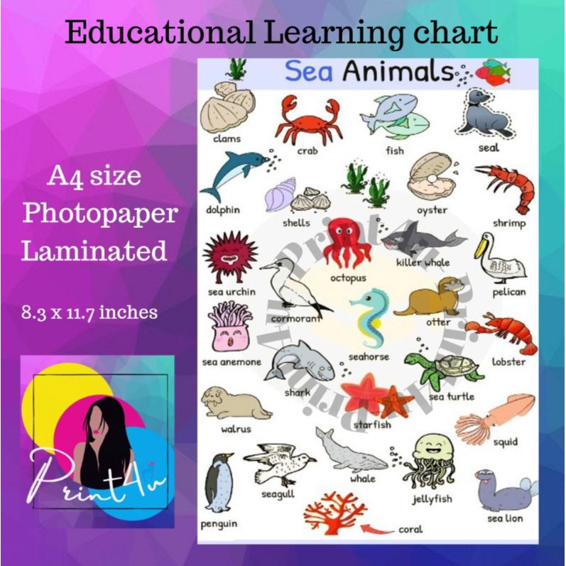 Sea Animals Chart for kids development Learning materials Laminated ...