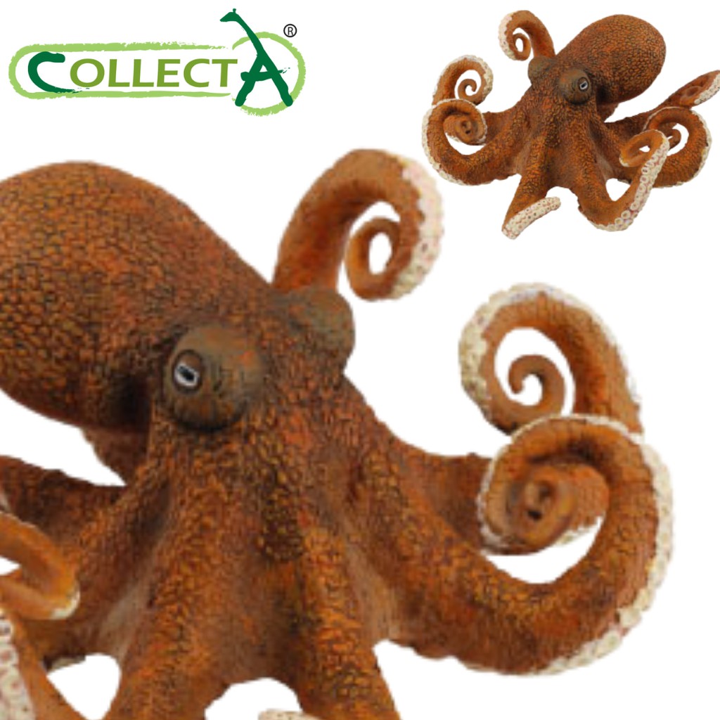 Octopus - CollectA 88485 Ocean & Sea Life Animal Action Figures / Toys ...