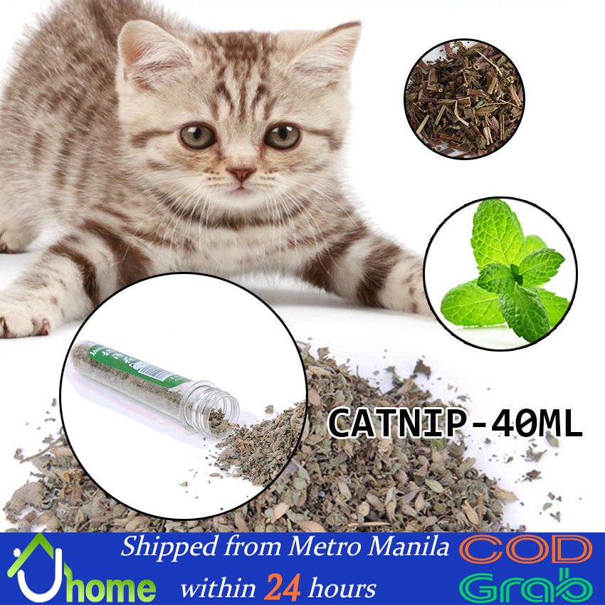 【SOYACAR】Cat Food Pet Test Tube Packed Catnip Cat Mint Powder 40ml ...