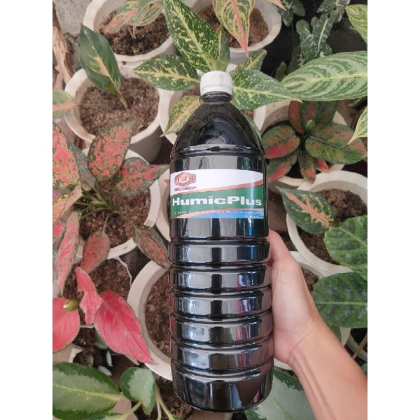 Humic Plus 1.5 liters Ready to use soil conditioner and growth ...