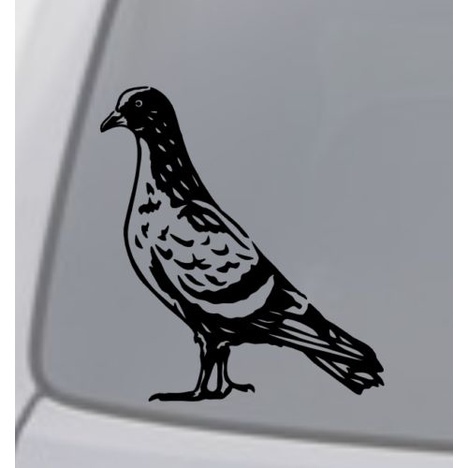 PIGEON DOVE Vinyl Decal Sticker Car Window Wall Bumper Feral City Bird ...