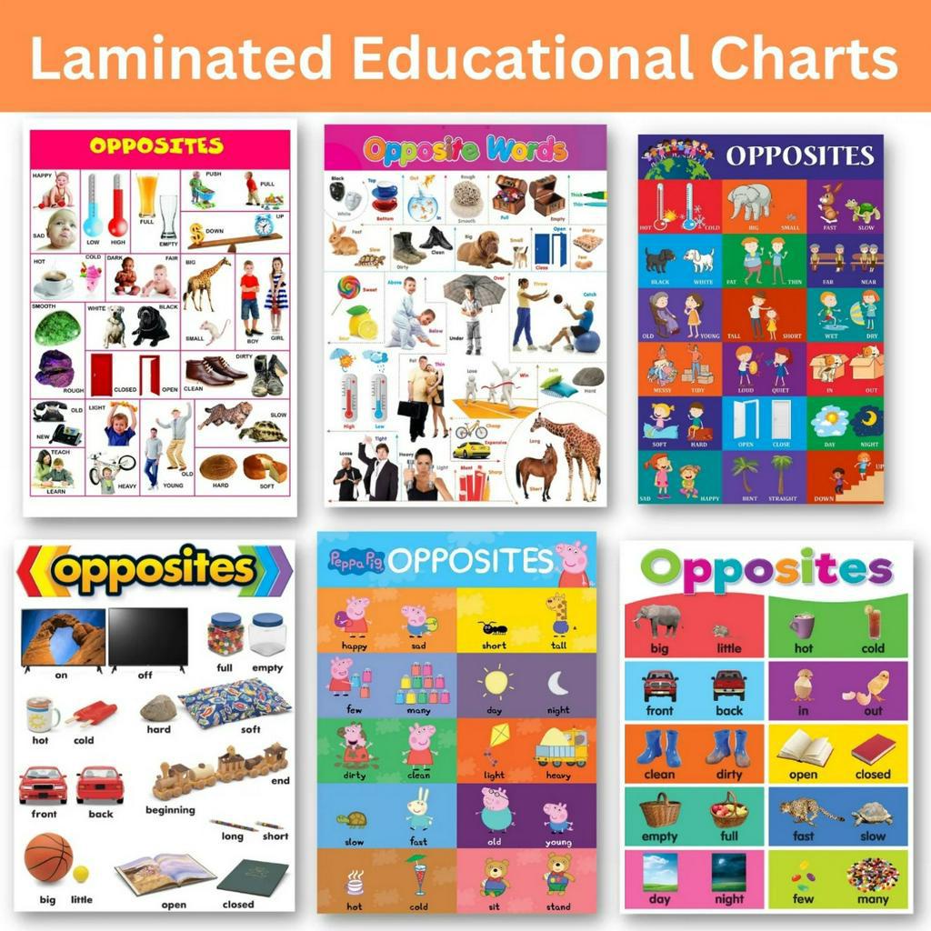 Laminated Opposites Charts, Educational Charts, Antonyms Charts for ...