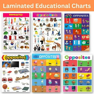 Laminated Opposites Charts, Educational Charts, Antonyms Charts for ...