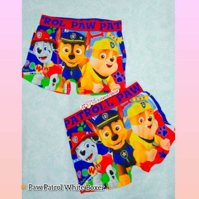 NEW! Character Printed Paw Patrol inner Boxer Brief For Kids Boy ...