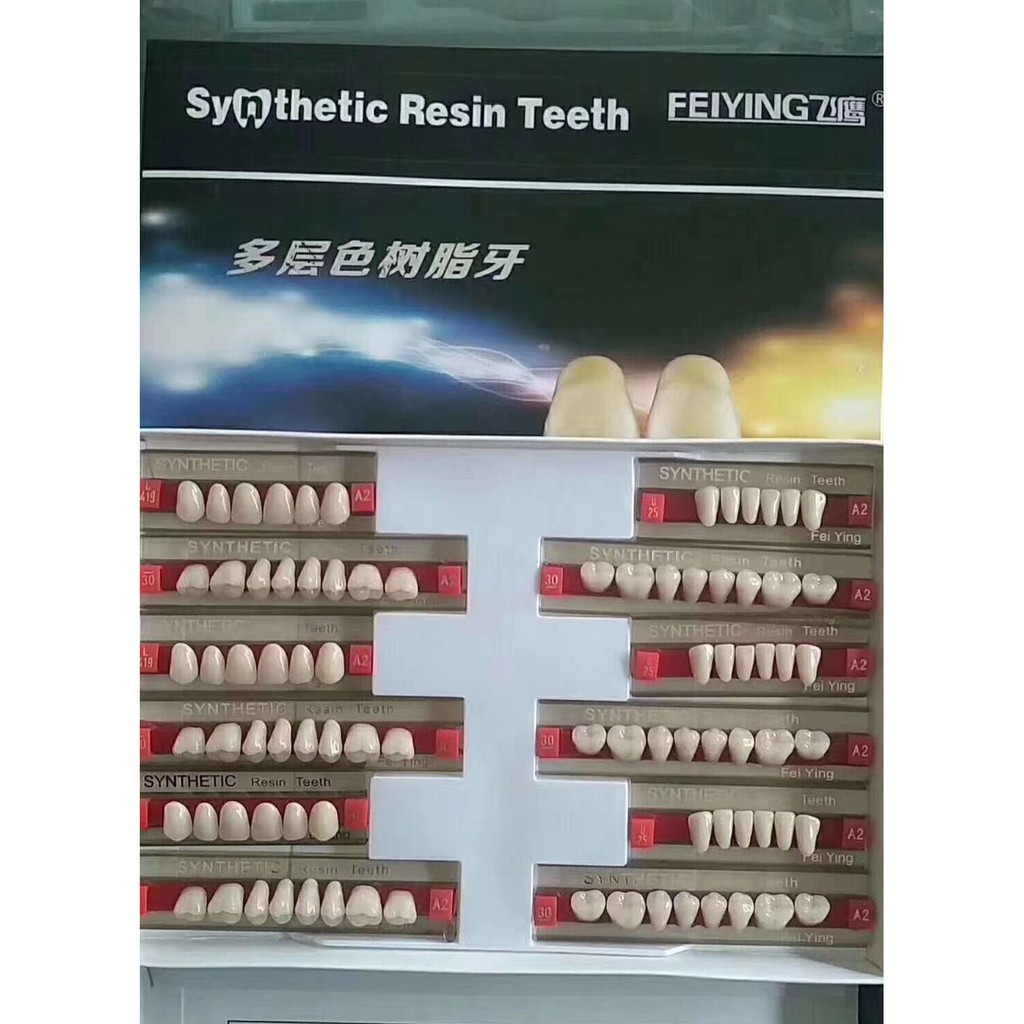 FEIYING 1 Synthetic resin teeth dental denture materials | Shopee ...