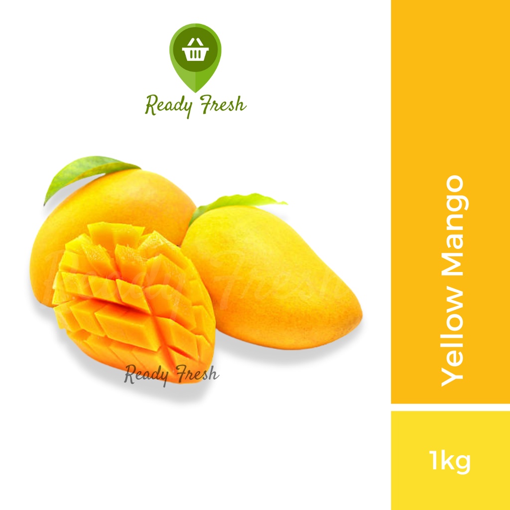 Ready Fresh - Yellow Mango (1kg) | Shopee Philippines