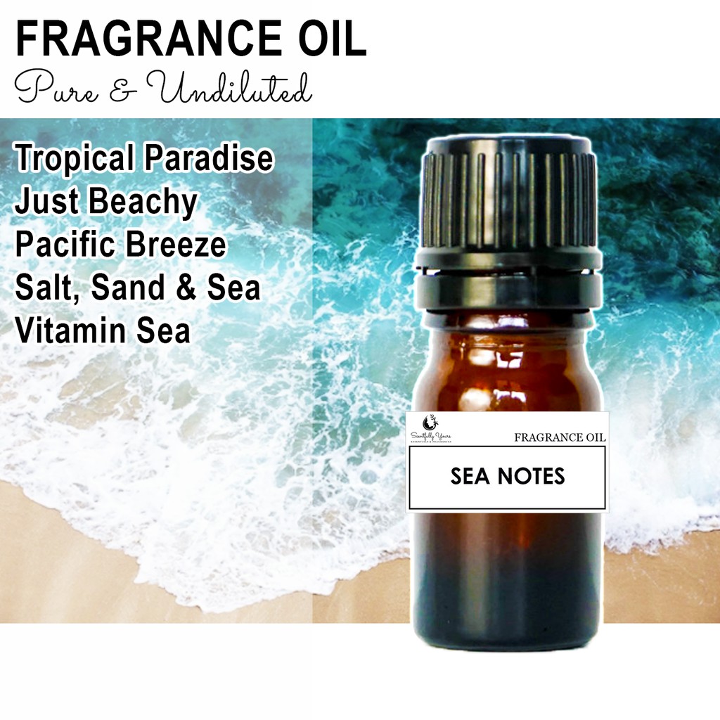 SEA NOTES FRAGRANCE OIL (5ml Sample) | Shopee Philippines
