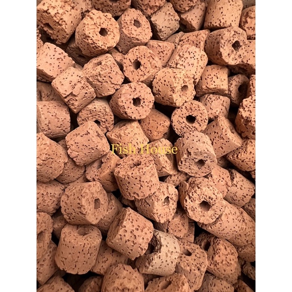 Lava Rings Filter Media For Aquarium Tank | Shopee Philippines