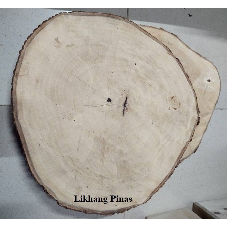 Sangkalan Tadtaran Sampalok Log with bark chopping board | Shopee ...