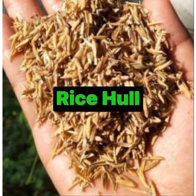 DNC Fresh RICE HULL / (Ipa ng Palay) : Soil Conditioner Plant Beddings ...
