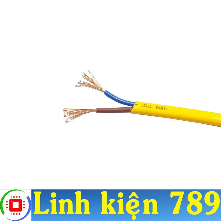 Wire 1mm2 x 2 Copper Wire 100% (2 Meters) | Shopee Philippines