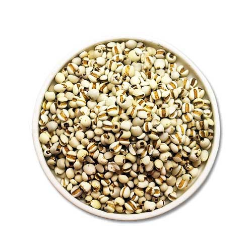 Barley/chinese Barley (500g) | Shopee Philippines