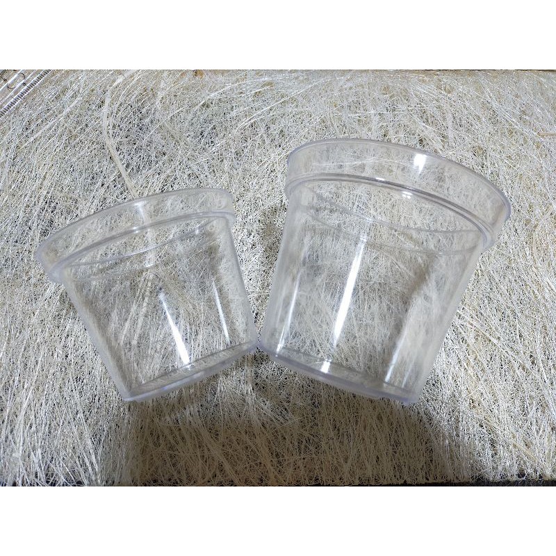 Acrylic Clear Round Pots/ Transparent Best for Cactus succulents and ...