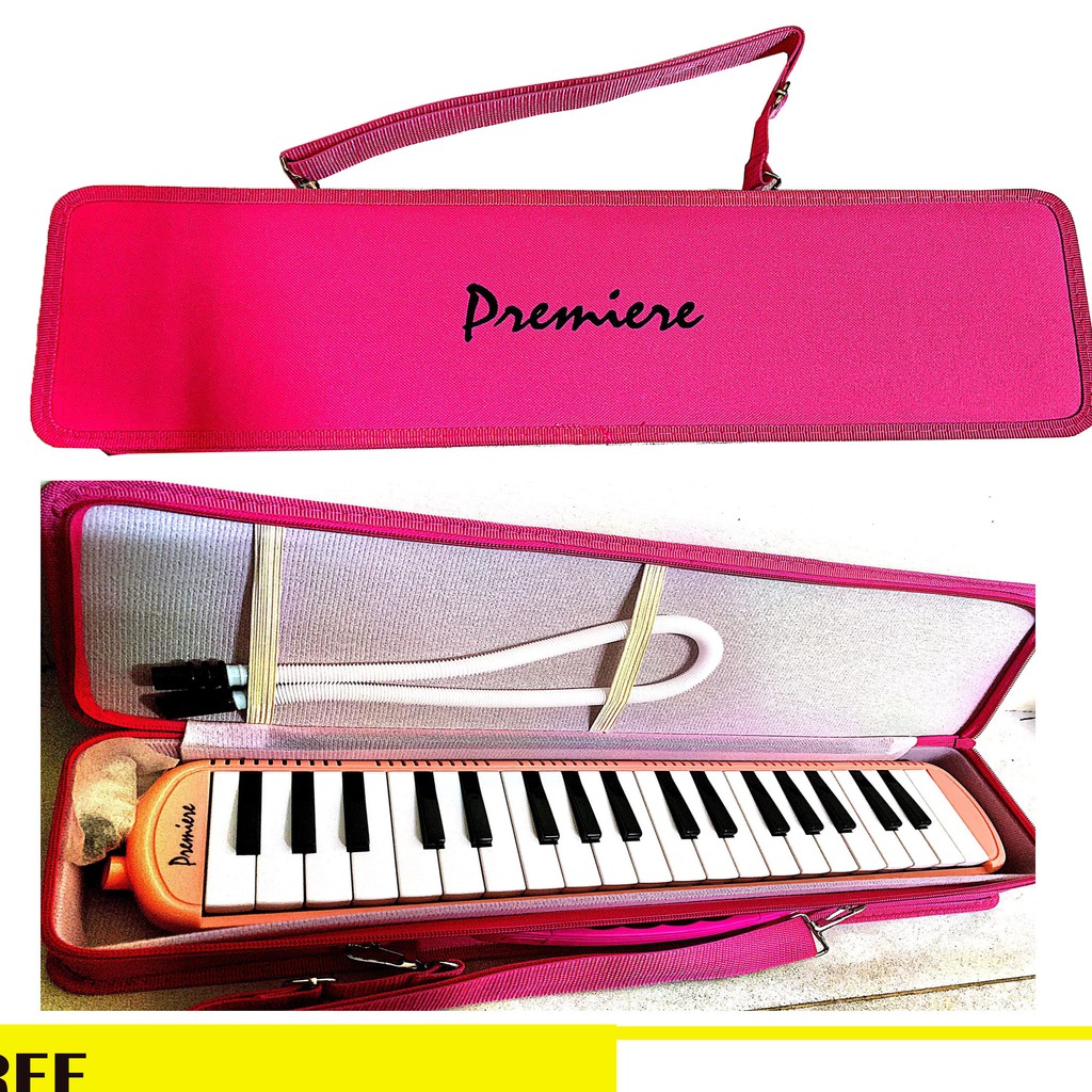 Melodica Horn 37 Keys Wind Instrument with Hard Case Blue,Pink, Red ...