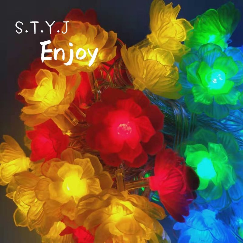 50L LED Music Christmas String Light With Sound Fairy Light, Extendable ...