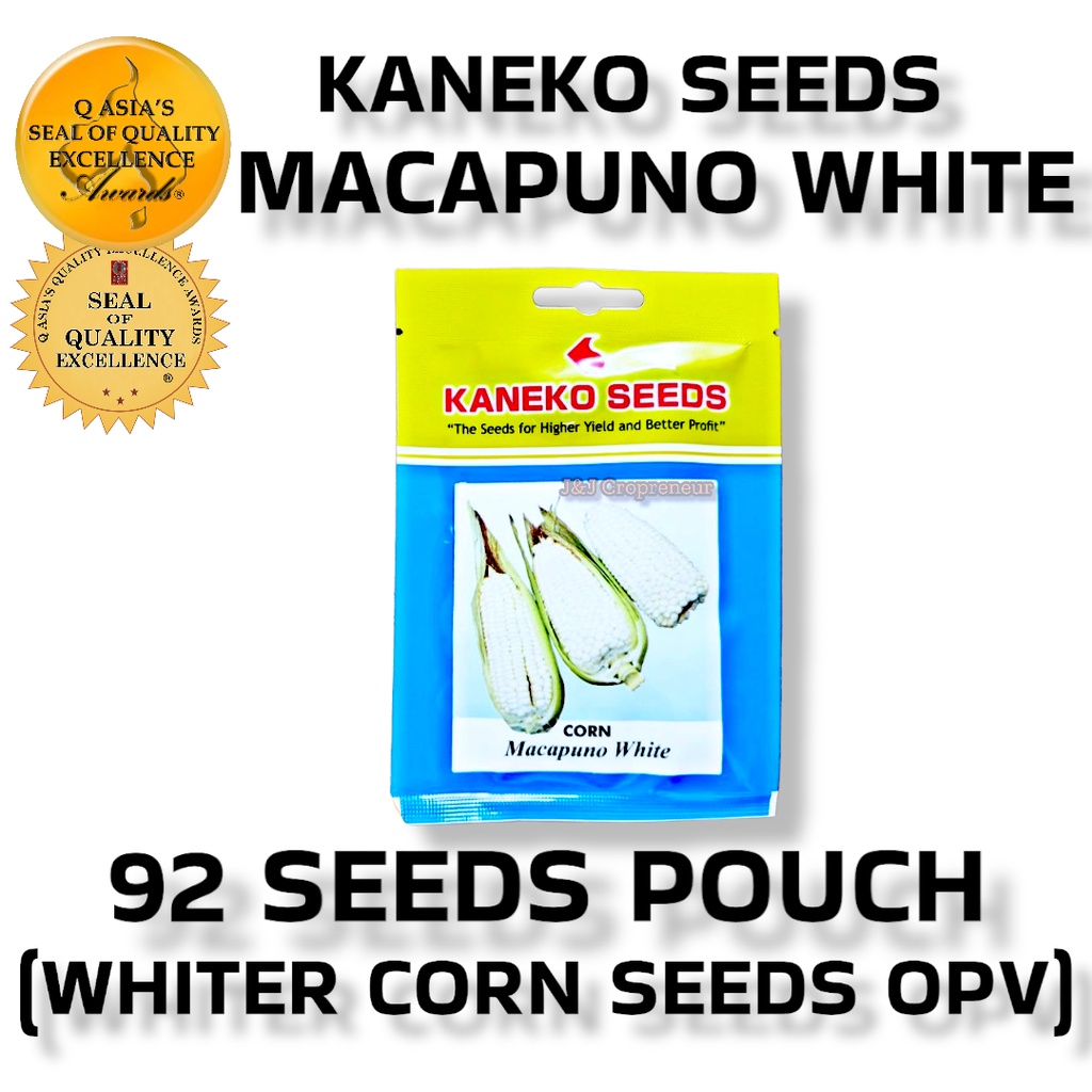 MACAPUNO WHITE CORN SEEDS (APPROX 92 SEEDS) KANEKO SEEDS | Shopee Philippines