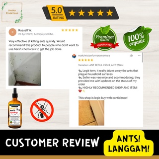 Amora ORGANIC ANT Killer SPRAY, Ant Killer, Ant spray killer organic ...