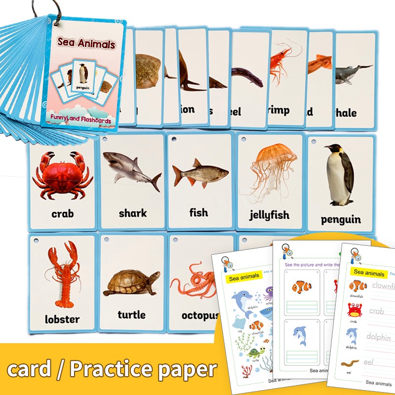 21Pcs/Set Sea Animals English Cognitive Flash Cards Practice Paper ...