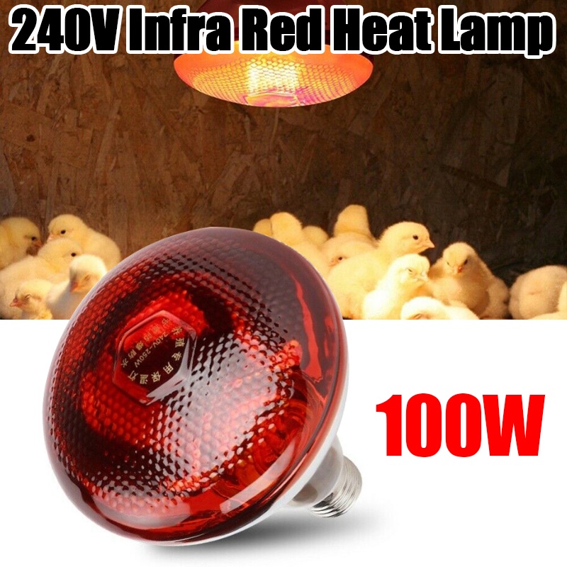 Heat LAMP Bulb 100 watts for animals Happy Vet 100W BULB brooder lamp ...