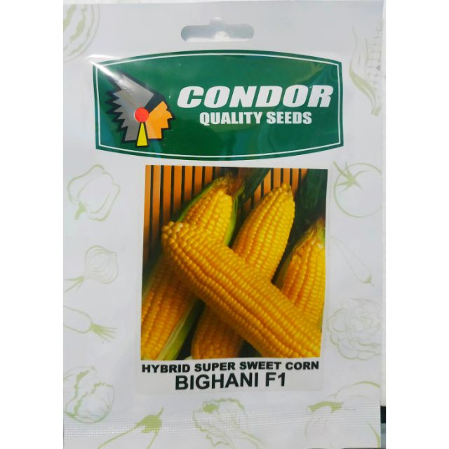 BIGHANI F1 SWEET CORN 10 GRAMS | Shopee Philippines