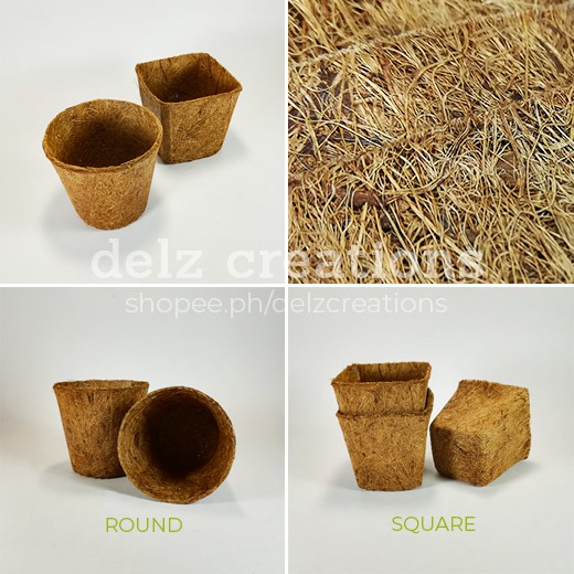 coco pot round square 3" | Shopee Philippines