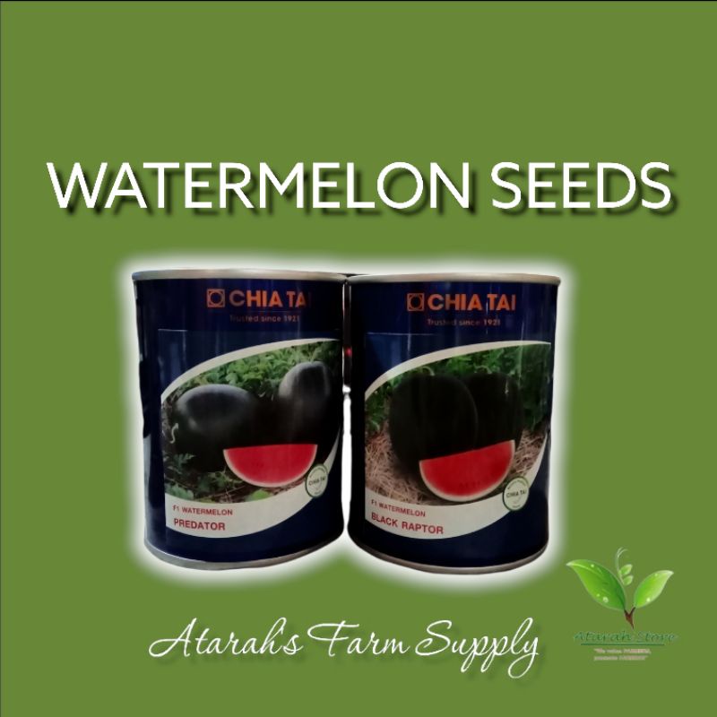 COD! Black Raptor/ Predator Watermelon F1 Chia Tai Seeds (50gms ...