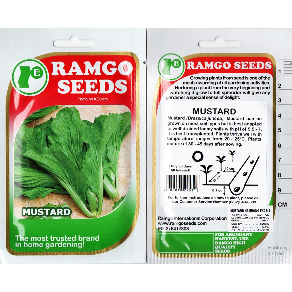 Ramgo Seeds Sold Per Pack Per Variety - Alugbati Cabbage Bunching Onion ...