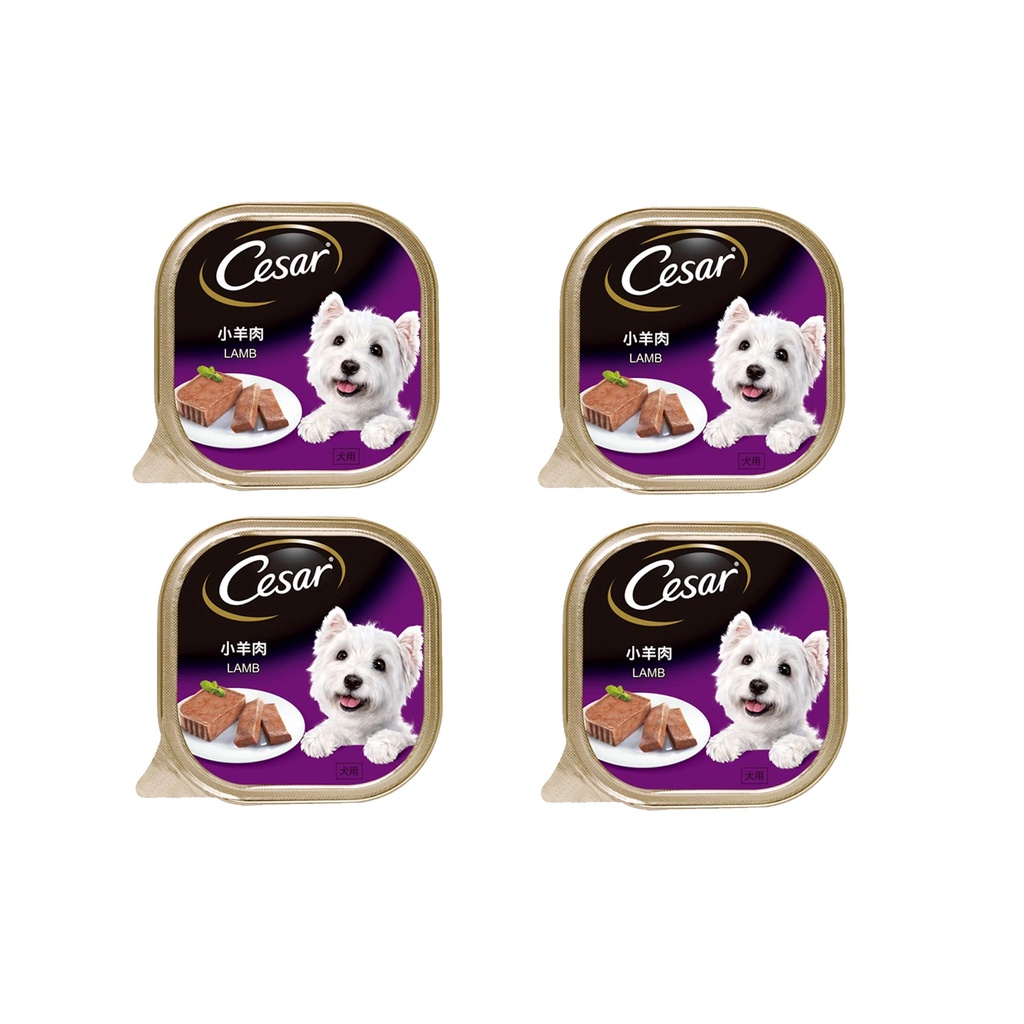 Cesar Lamb Wet Dog Food 100g Pack of 4 | Shopee Philippines