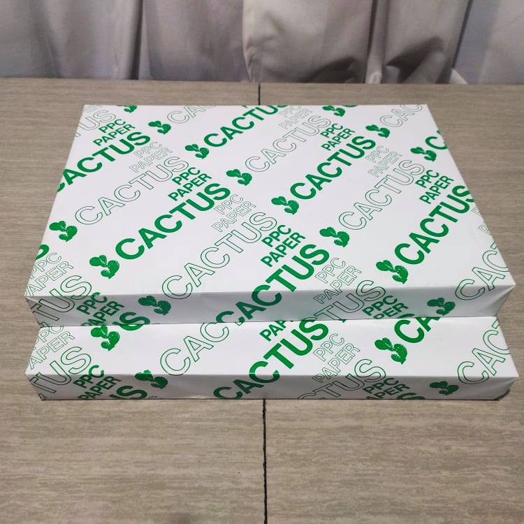 A3 Bond Paper (Hard Copy, Copy One, Cactus, Smartist, OfficePro ...