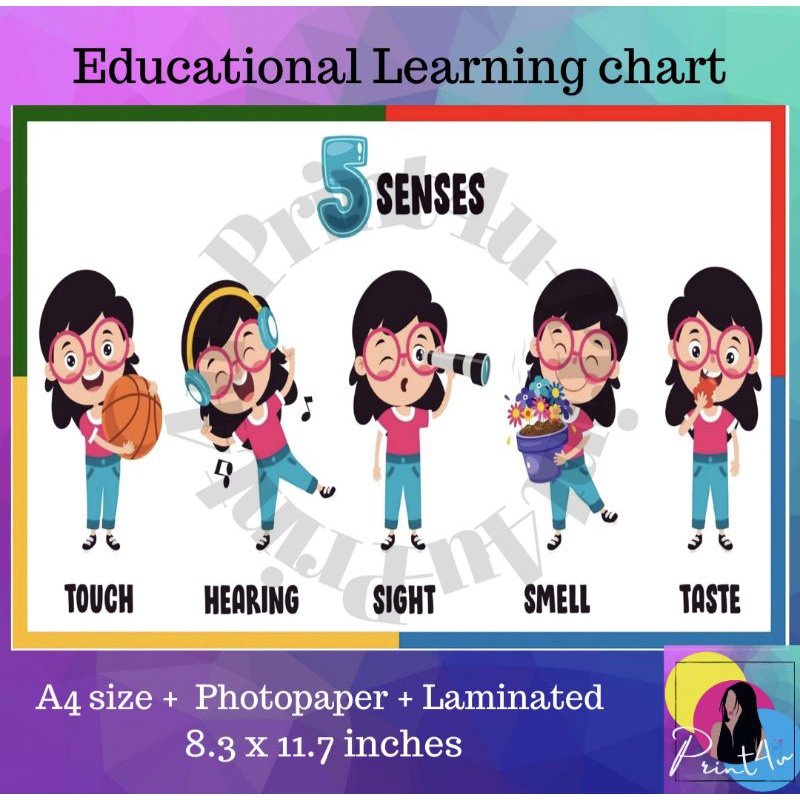 5 senses Learning chart for kids Laminated A4 | Shopee Philippines