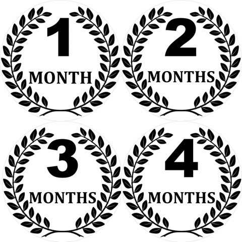12 Months Baby Milestone Stickers | Shopee Philippines