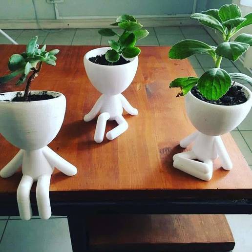 Pot Guy Planter 3D Printed | Shopee Philippines