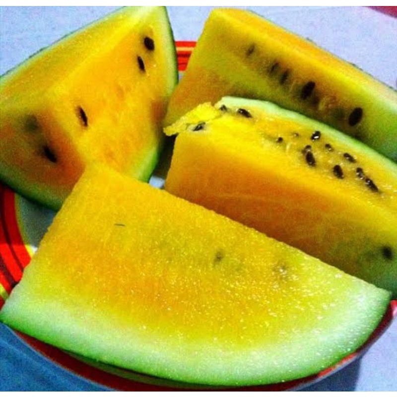 Yellow Pakwan Seeds hybrid , 10 seeds/ pack | Shopee Philippines