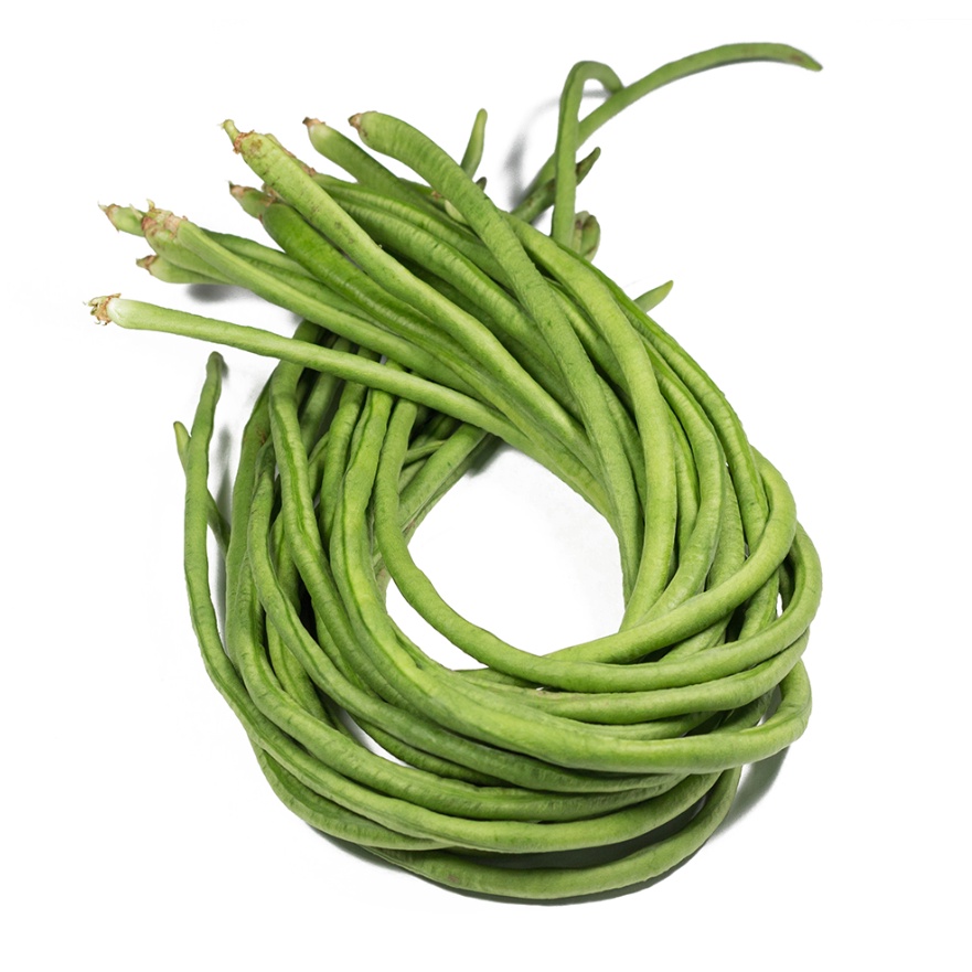 P25 per pack sitaw / string bean seeds - condor - plant - vegetable ...