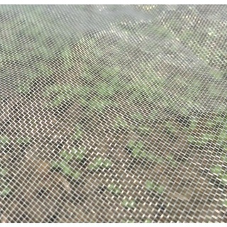 3m width Anti Insect Net White | Fine | Mesh | Greenhouse Agriculture ...