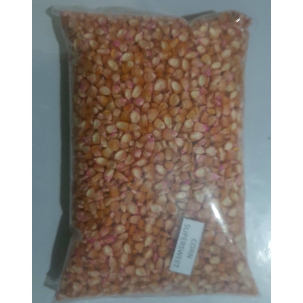 IPB Super Sweet Corn Planting Seeds (1kg) | Shopee Philippines