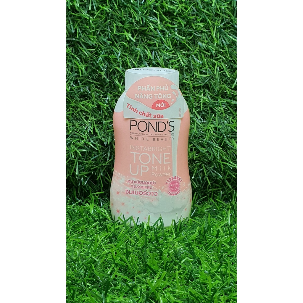 Pond up Tone Powder 50g | Shopee Philippines