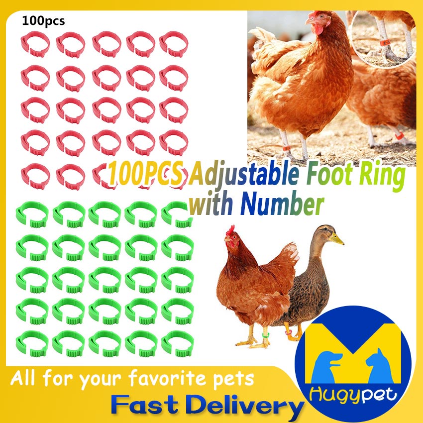 100Pcs Poultry Foot Ring Bird Pigeon Chicken Signage Adjustable Inner ...