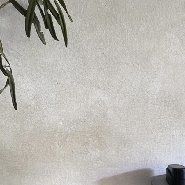 Asvesti Limewash Paint 1kg | Shopee Philippines