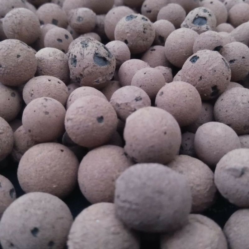 Hydroton Germany per 2 Liter | Shopee Philippines